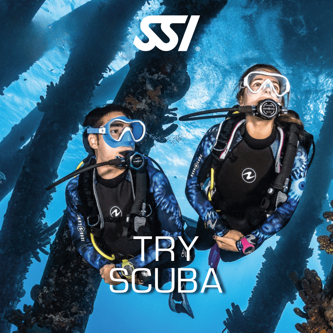 Try Scuba | sbdivers.com