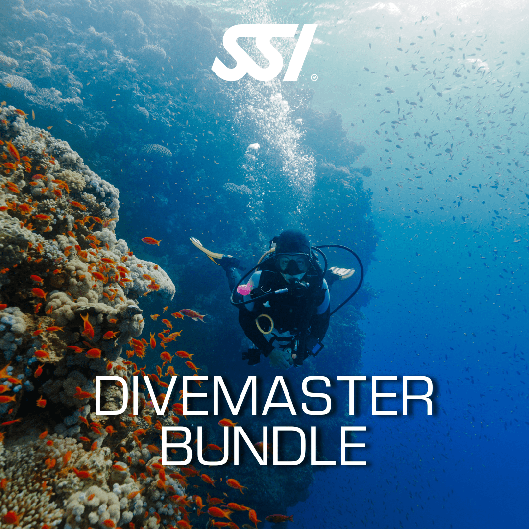 Divemaster Bundle | SB Divers, Centro de buceo SSI en Lima, Perú