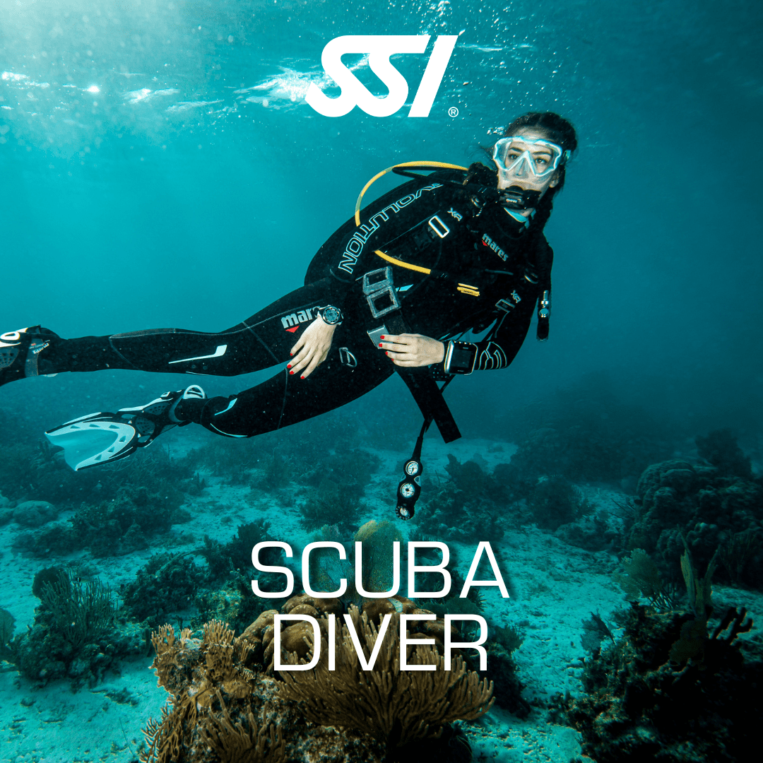 Scuba Diver | SB Divers, Centro de buceo SSI en Lima, Perú