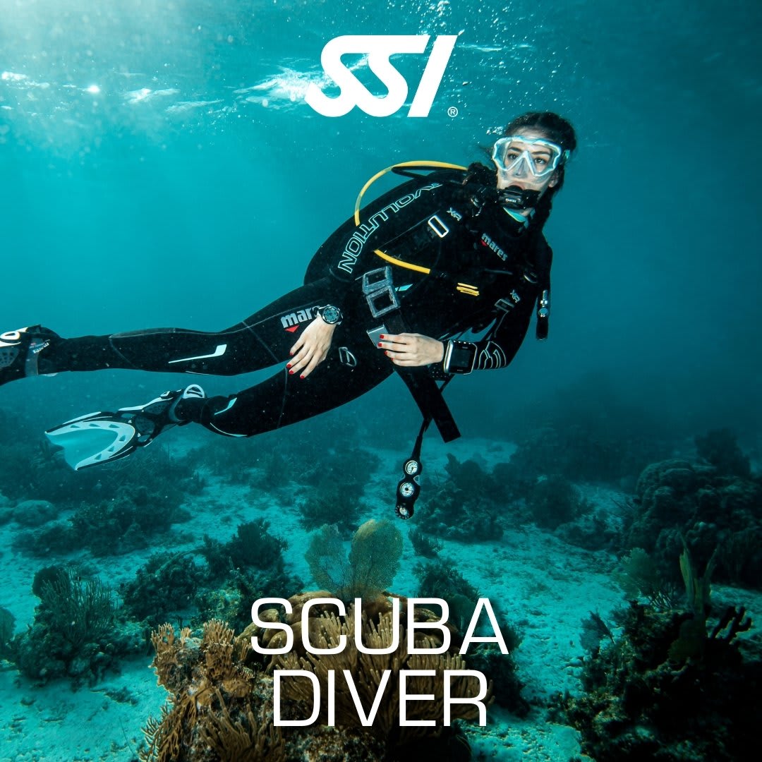 Scuba Diver | sbdivers.com