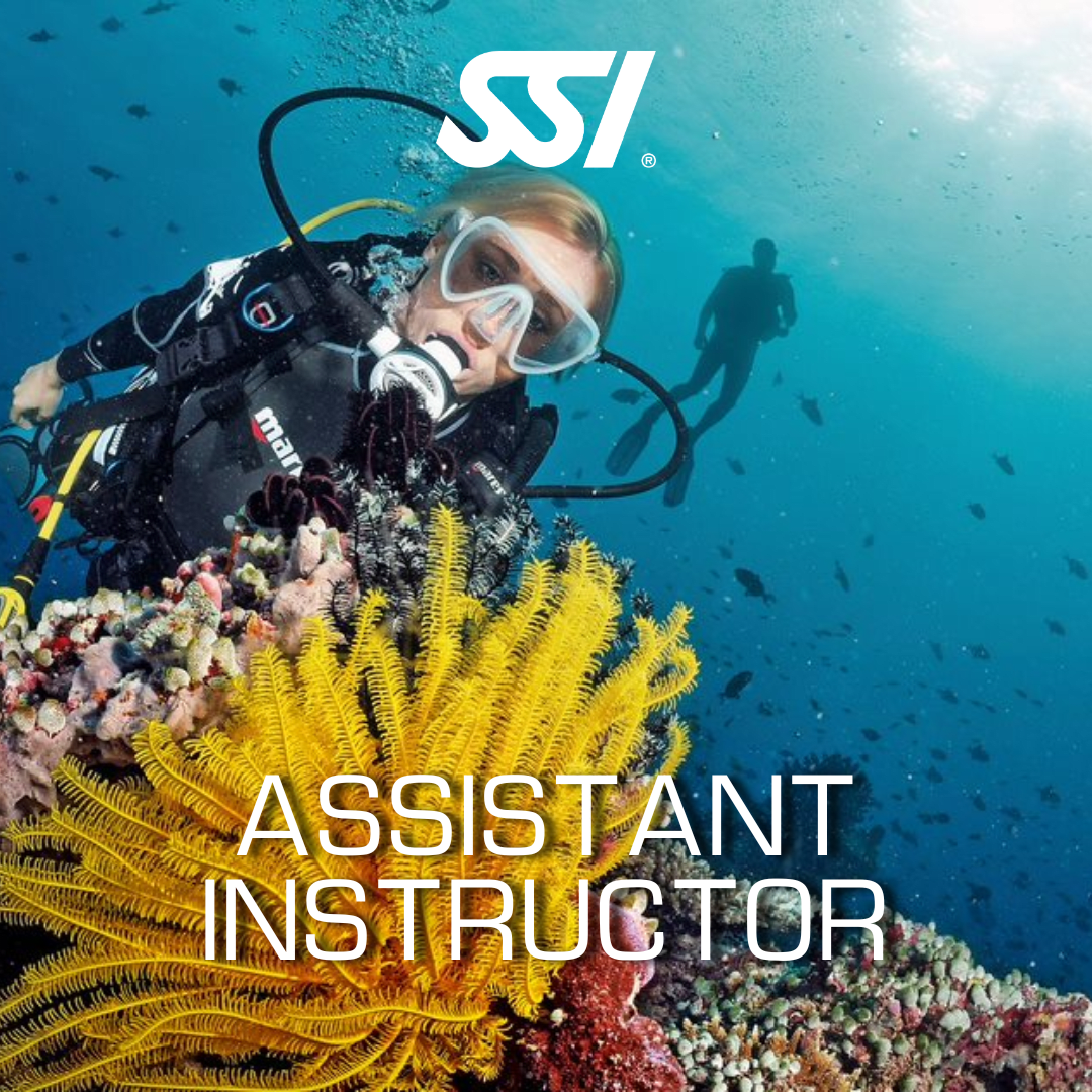 Assistant Instructor | SB Divers, Centro de buceo SSI en Lima, Perú