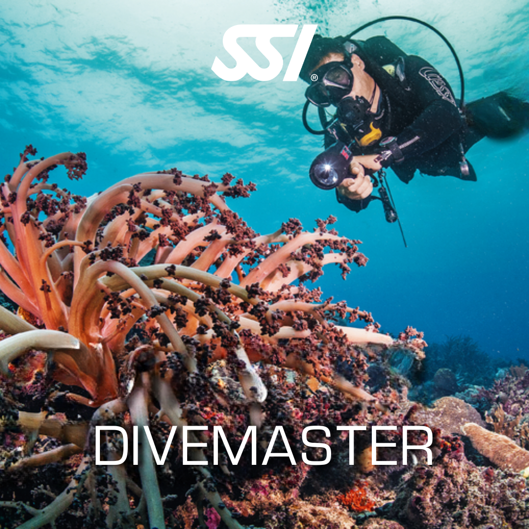 Divemaster | SB Divers, Centro de buceo SSI en Lima, Perú