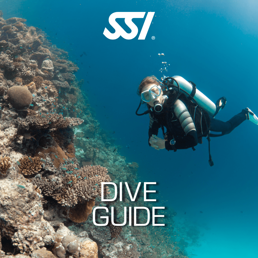 Dive Guide | sbdivers.com