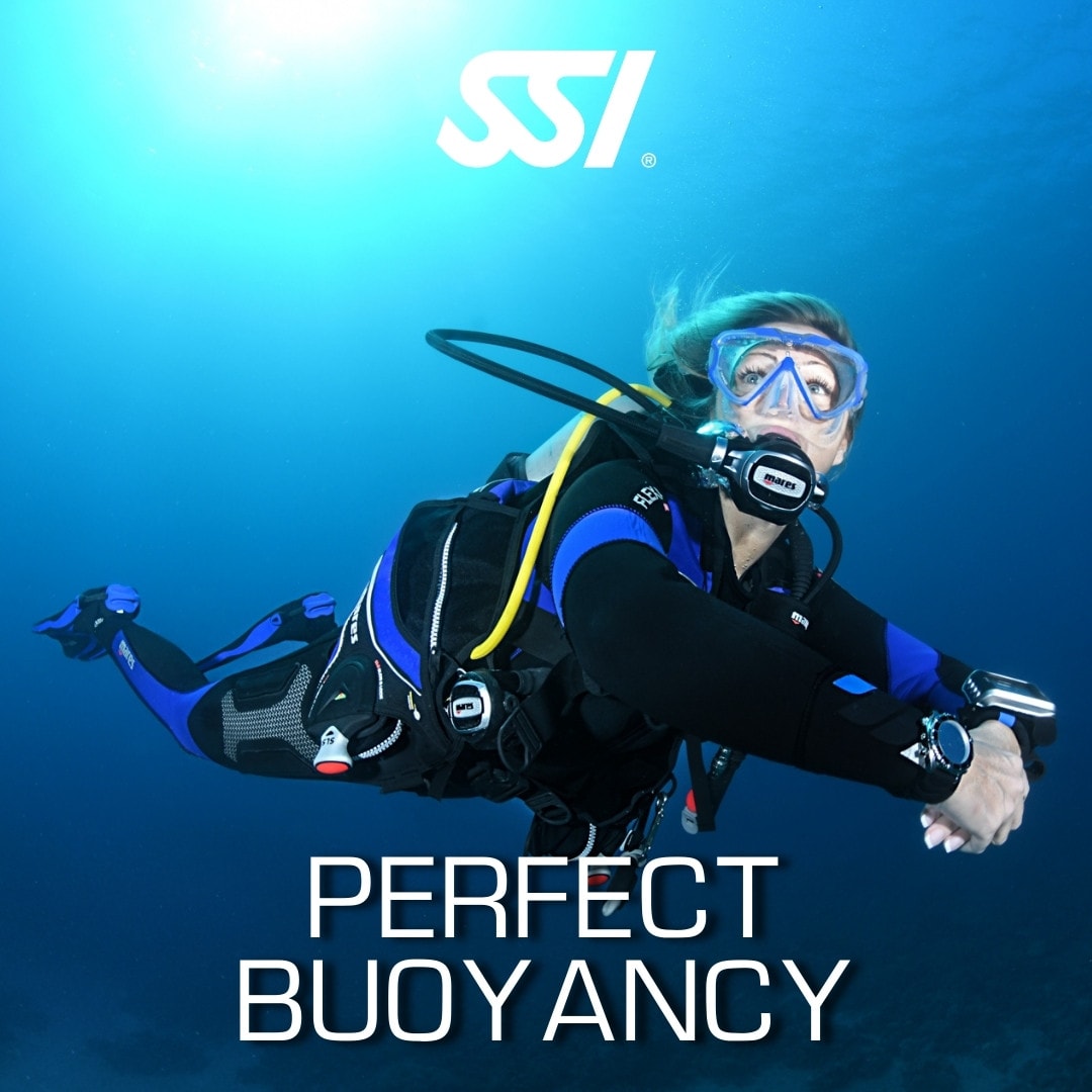 Perfect Buoyancy | sbdivers.com
