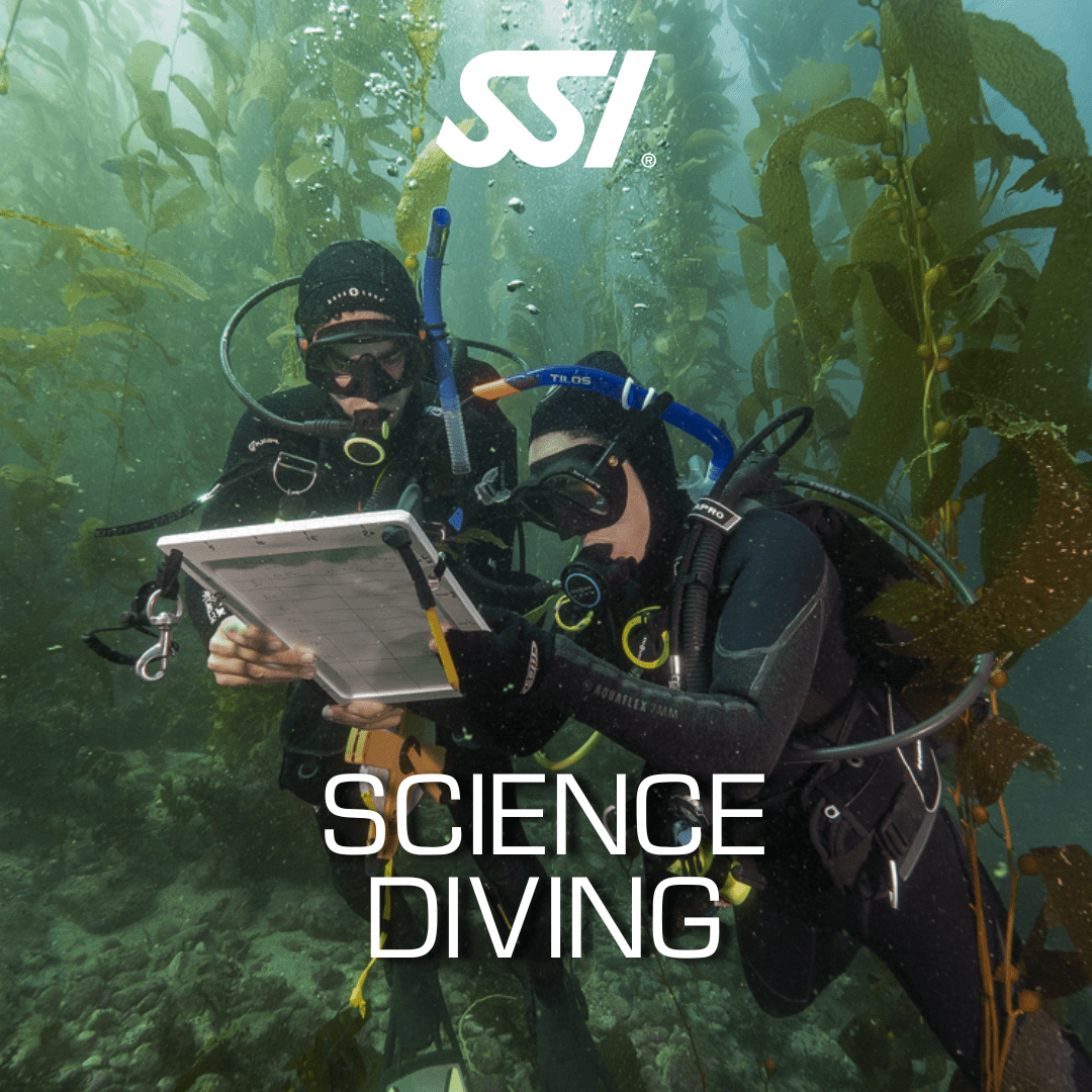 Science of Diving | SB Divers, Centro de buceo SSI en Lima, Perú