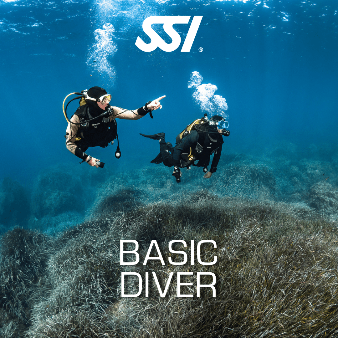 Basic Diver | SB Divers, Centro de buceo SSI en Lima, Perú
