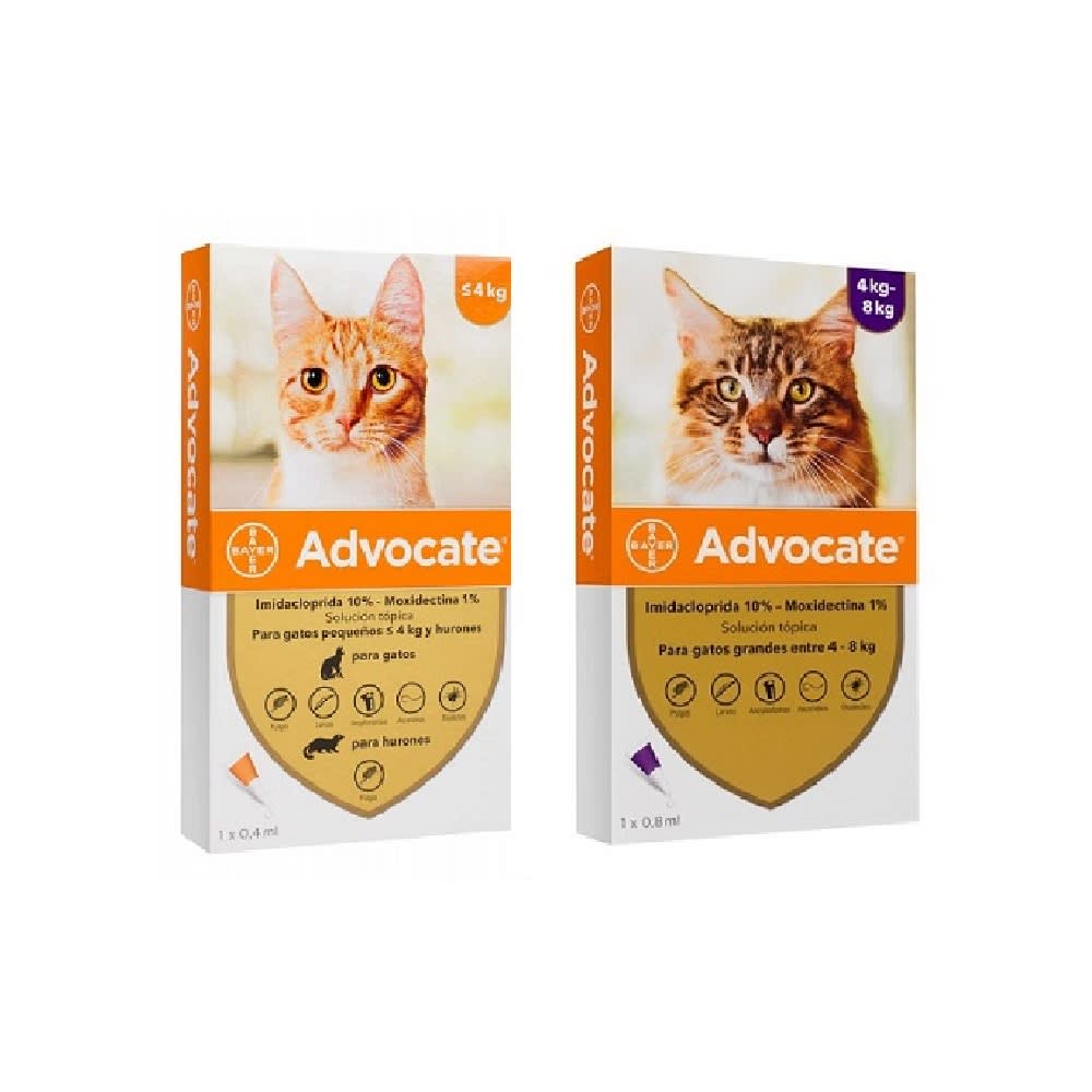 ADVOCATE | ANIMAL PARK