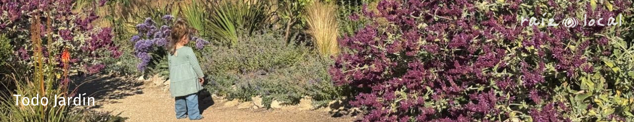 Todo Jardín Raíz Local | CONSTRUPLANET