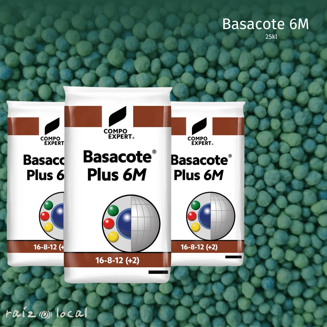 BASACOTE 6M | CONSTRUPLANET