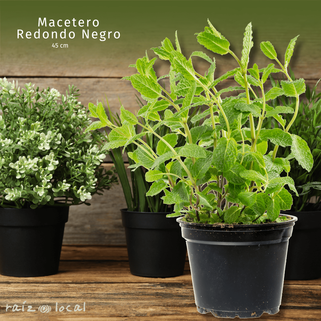 Macetero Redondo Negro 45 CM - Moderno y Resistente para Jardinería ...