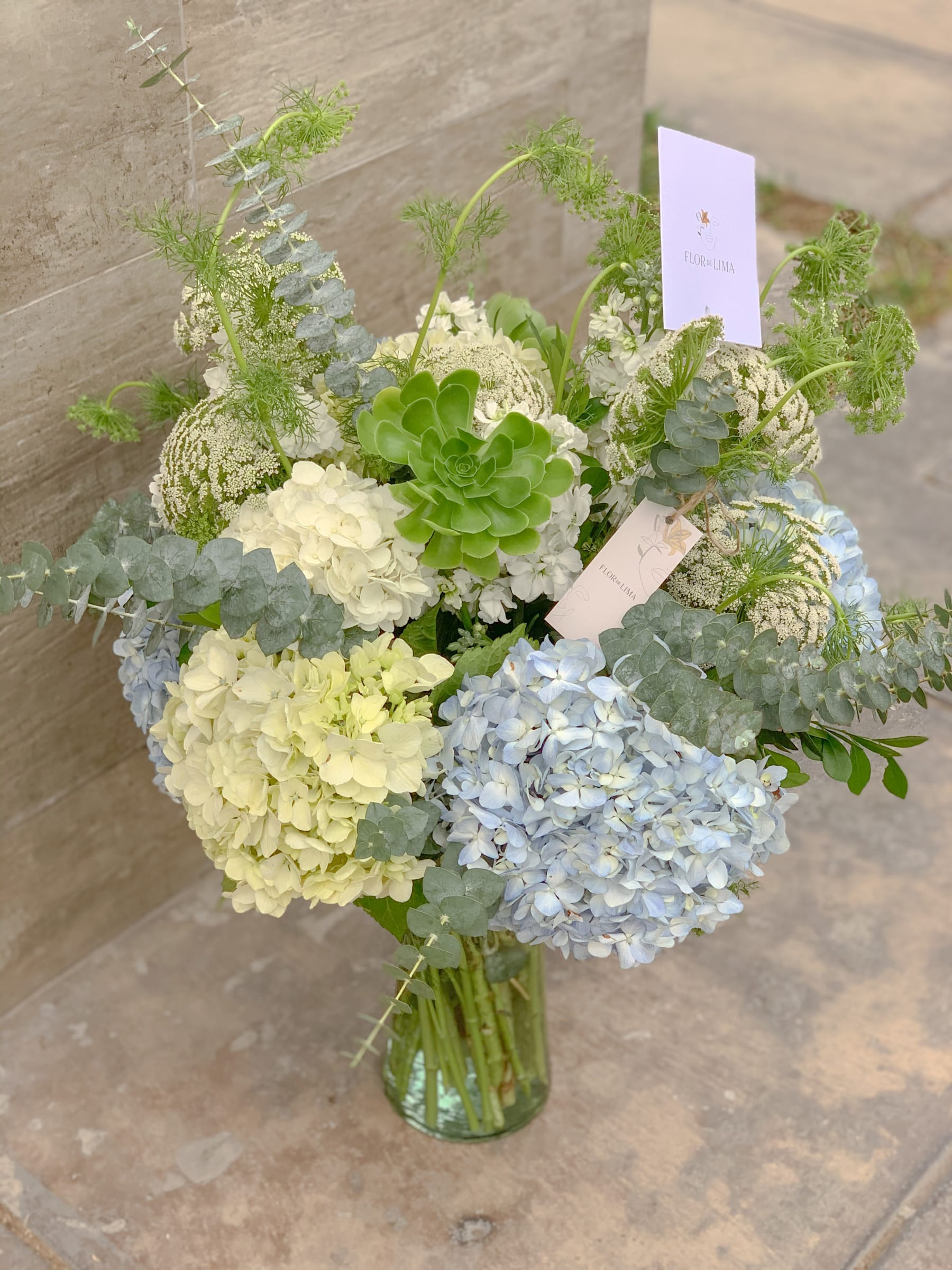 Belen | Flor de Lima