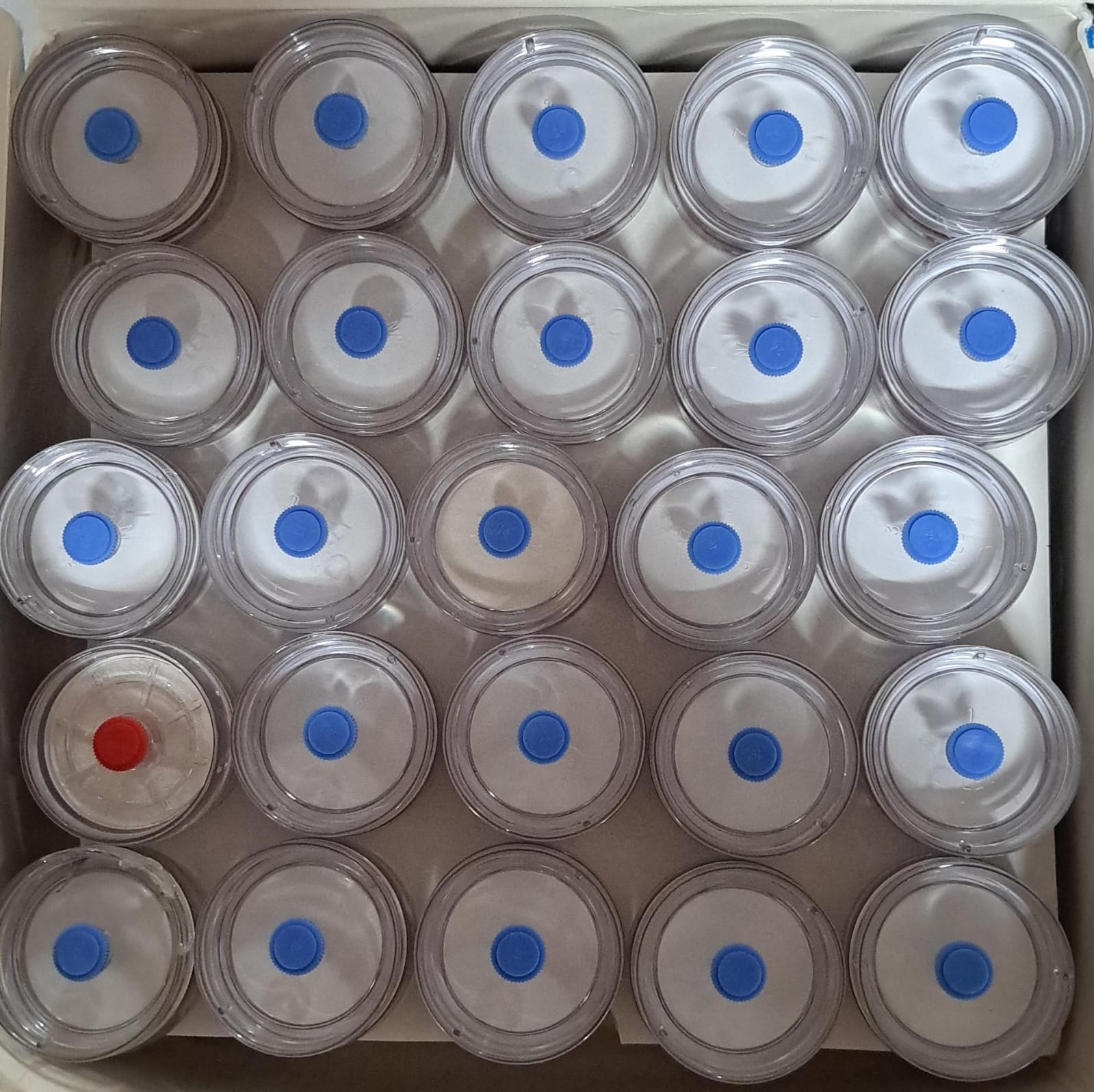 37MM FIELD ANALYSIS MONITORS 50/PK-MILLIPORE, MAWP037P0 (INC IGV ...