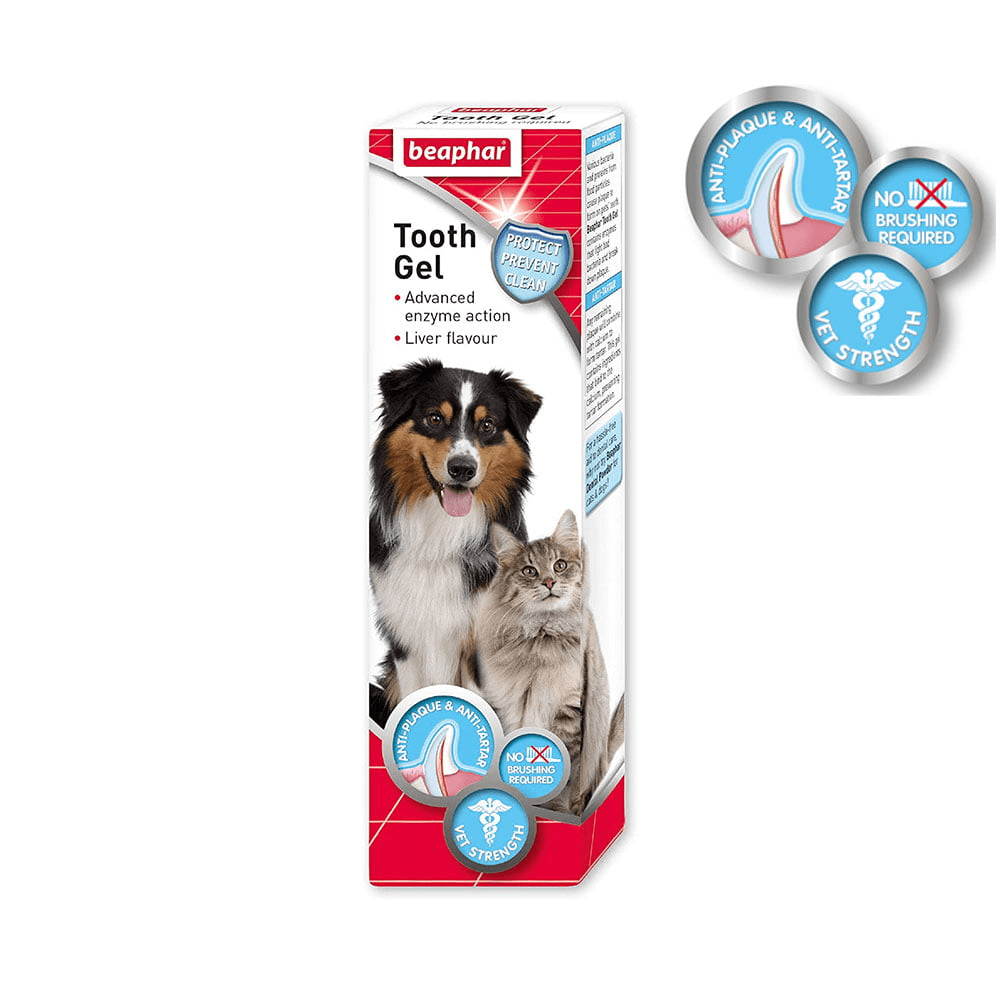 BEAPHAR GEL DENTAL PARA PERROS Y GATOS 100 GR | Pets & Pets