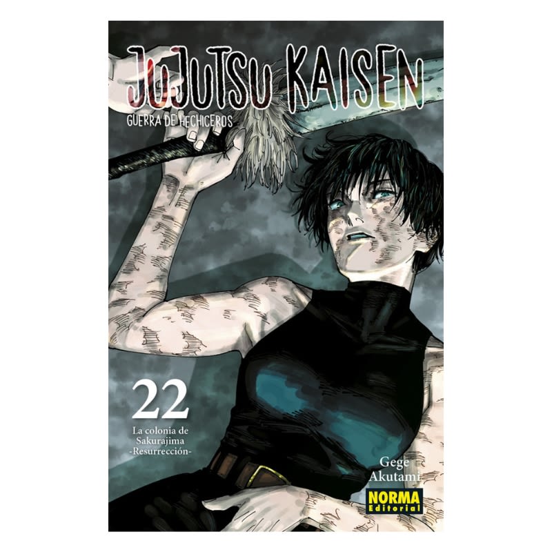 JUJUTSU KAISEN 22 - NORMA | Tsuki Manga Store