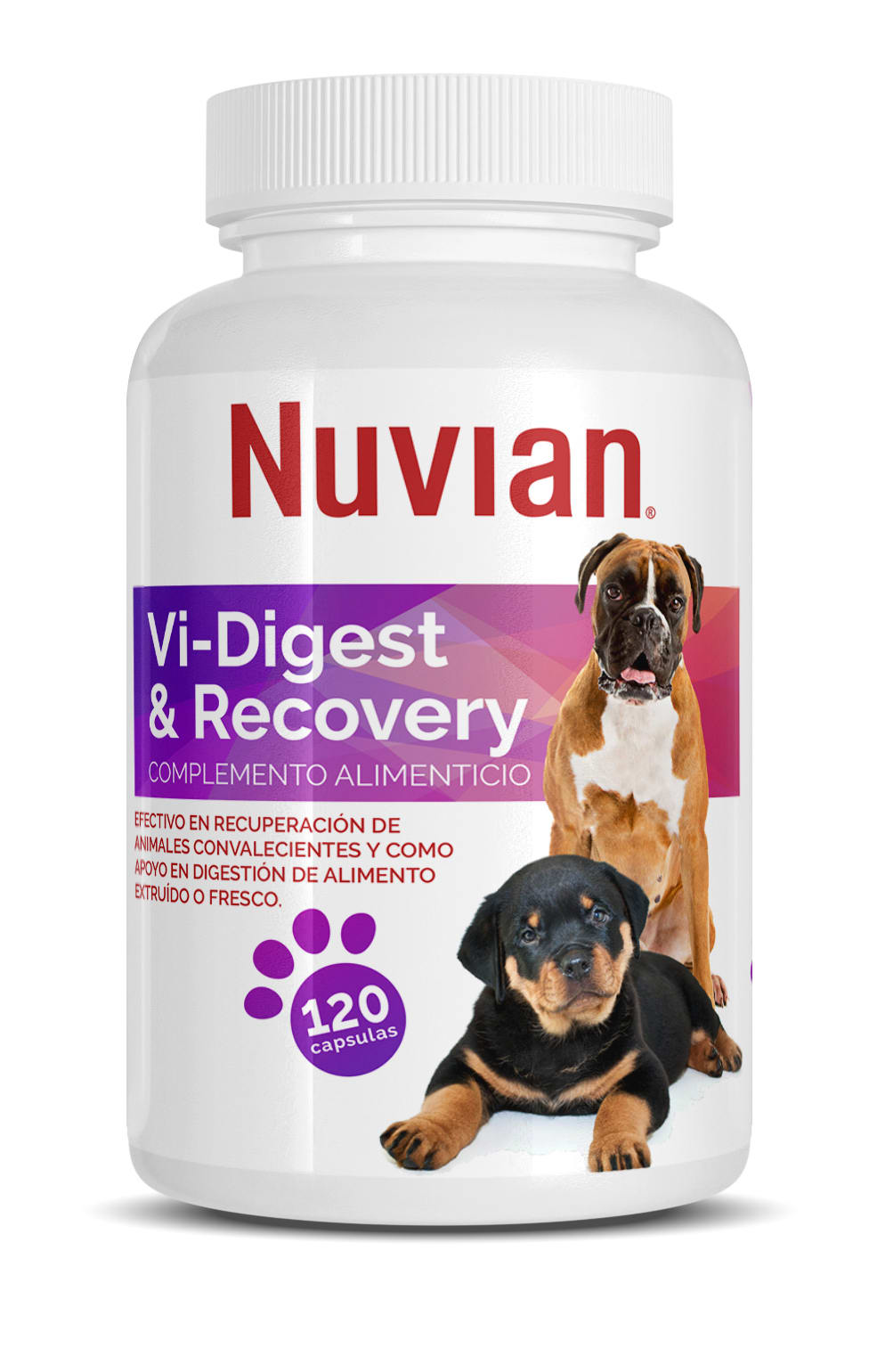 ViDigest & Recovery 120 Cápsulas | Aki Hay