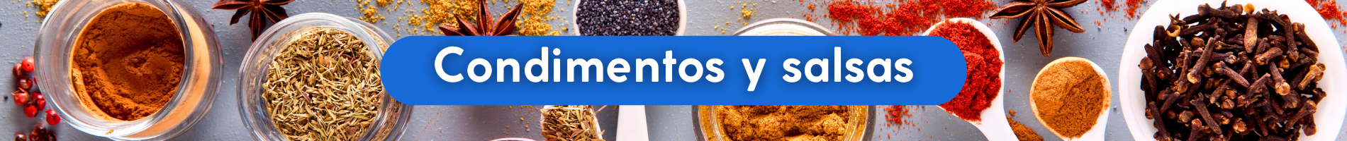 CONDIMENTOS Y SALSAS | PLAZA MULTIPACK