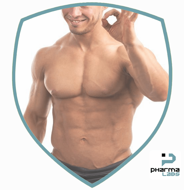 Post Ciclo Básico | PharmaLabs