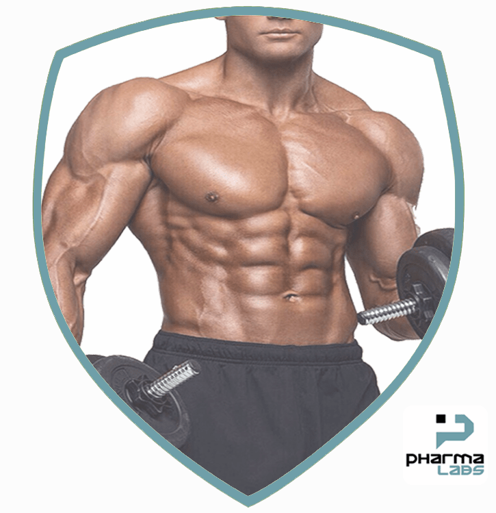 Ciclo Volumen Magro 1 | PharmaLabs