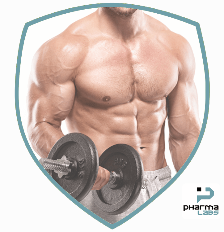 Ciclo Volumen Magro 2 | PharmaLabs