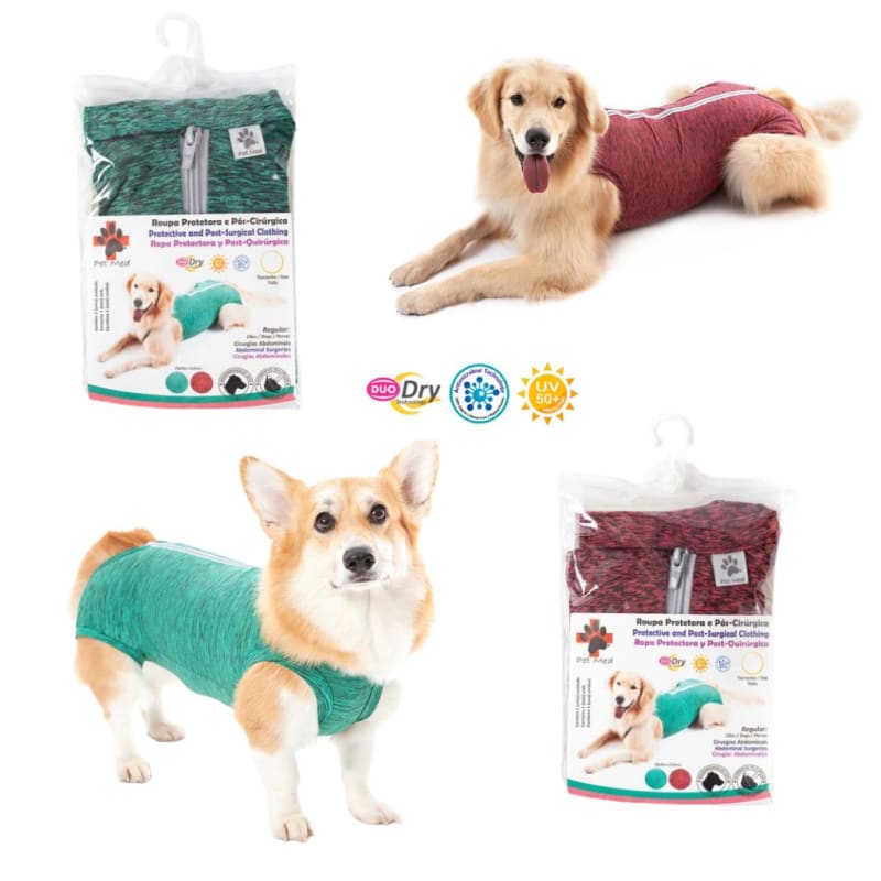BODY QUIRÚRGICO PERRO | Mascota Feliz
