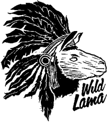 OVA CHILE - Tienda de Ropa Streetwear, Outdoor y Lifestyle - Envíos a ...