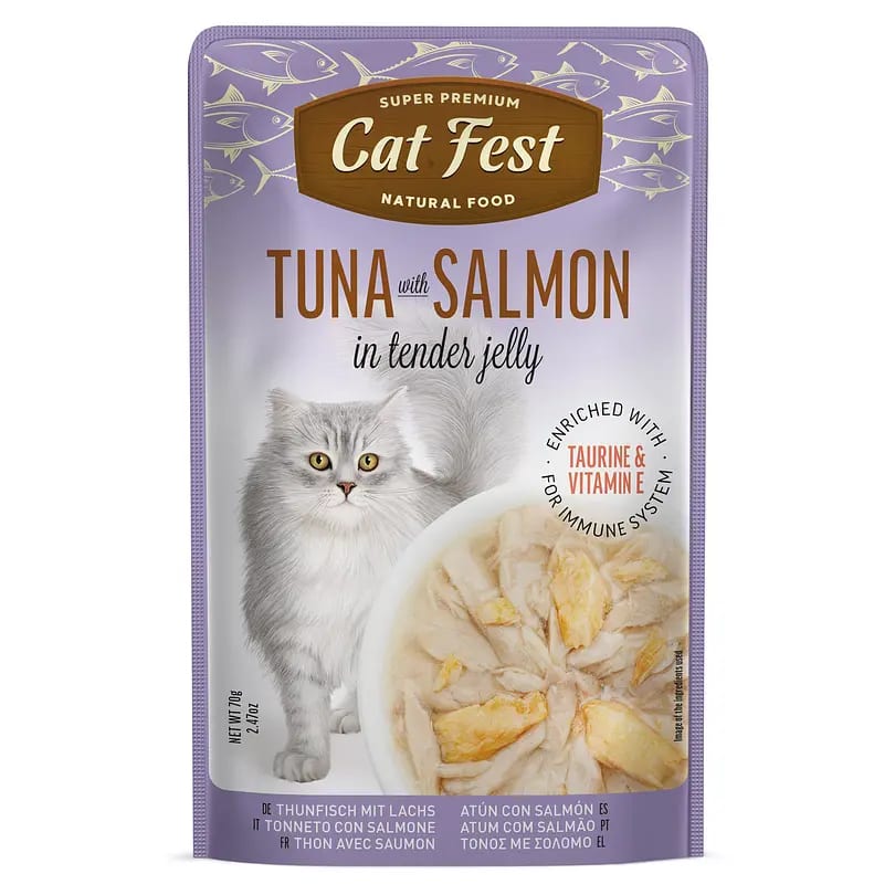 CAT FEST POUCH VARIEDADES 70GR | Squishy Pet