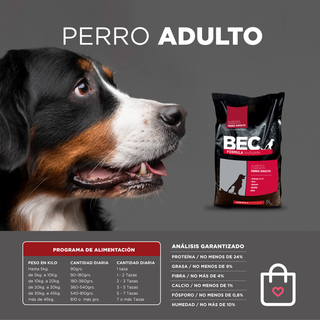 BEC FORMULA ADULTO 18KG | Squishy Pet