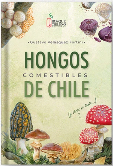 Hongos Comestibles de chile | cuerpoyalmalibreria