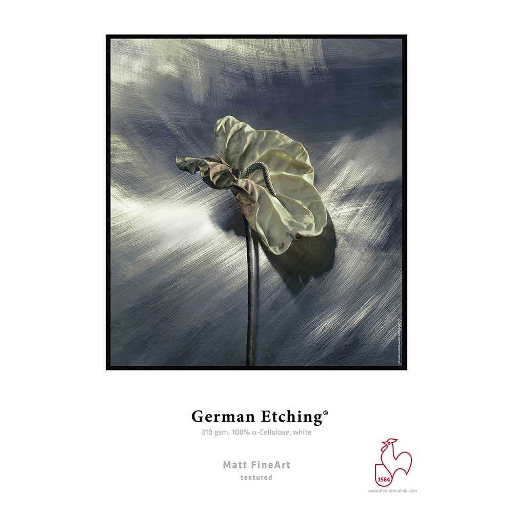 Hahnemuhle German Etching 310 gsm Rollo 17” x 12 m | Cuarto Digital