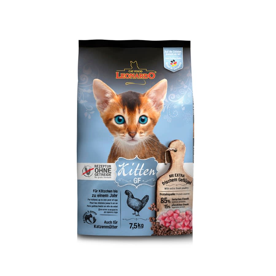 Leonardo - Kitten GF | MiuShop