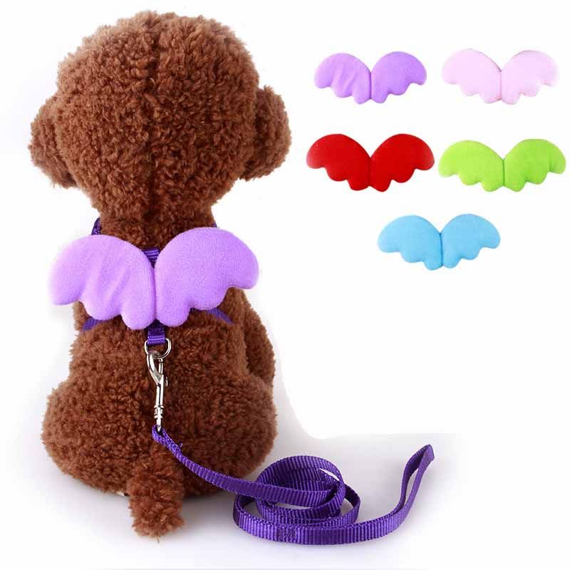 ARNES CON ALAS | Beck&Pets