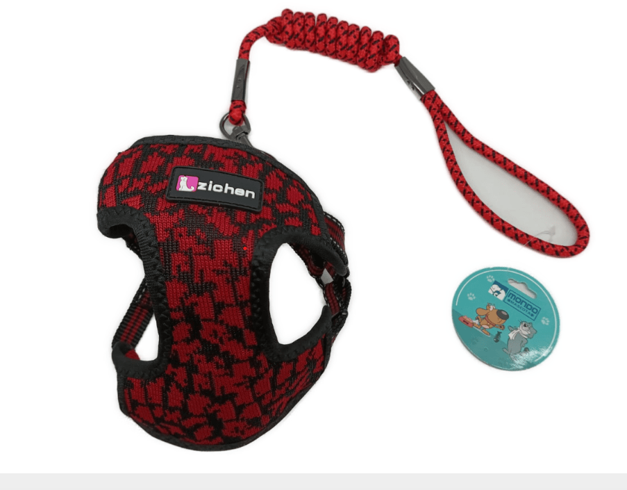 ARNES CON CORREA ZICHEN | Beck&Pets