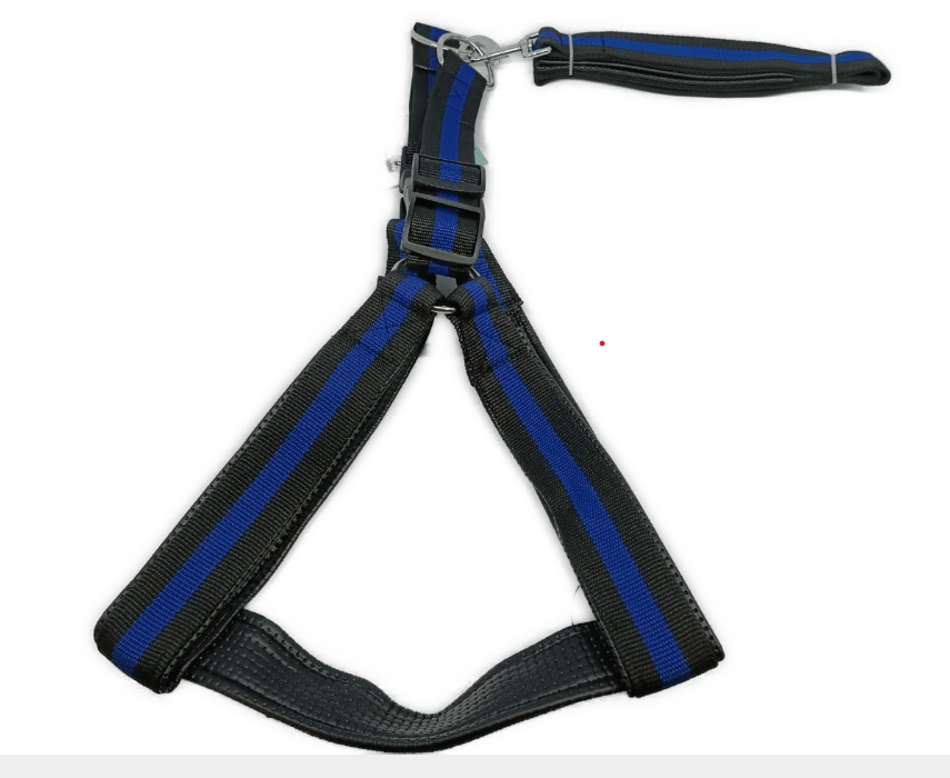 ARNES GRANDE CON CORREA MONDO | Beck&Pets
