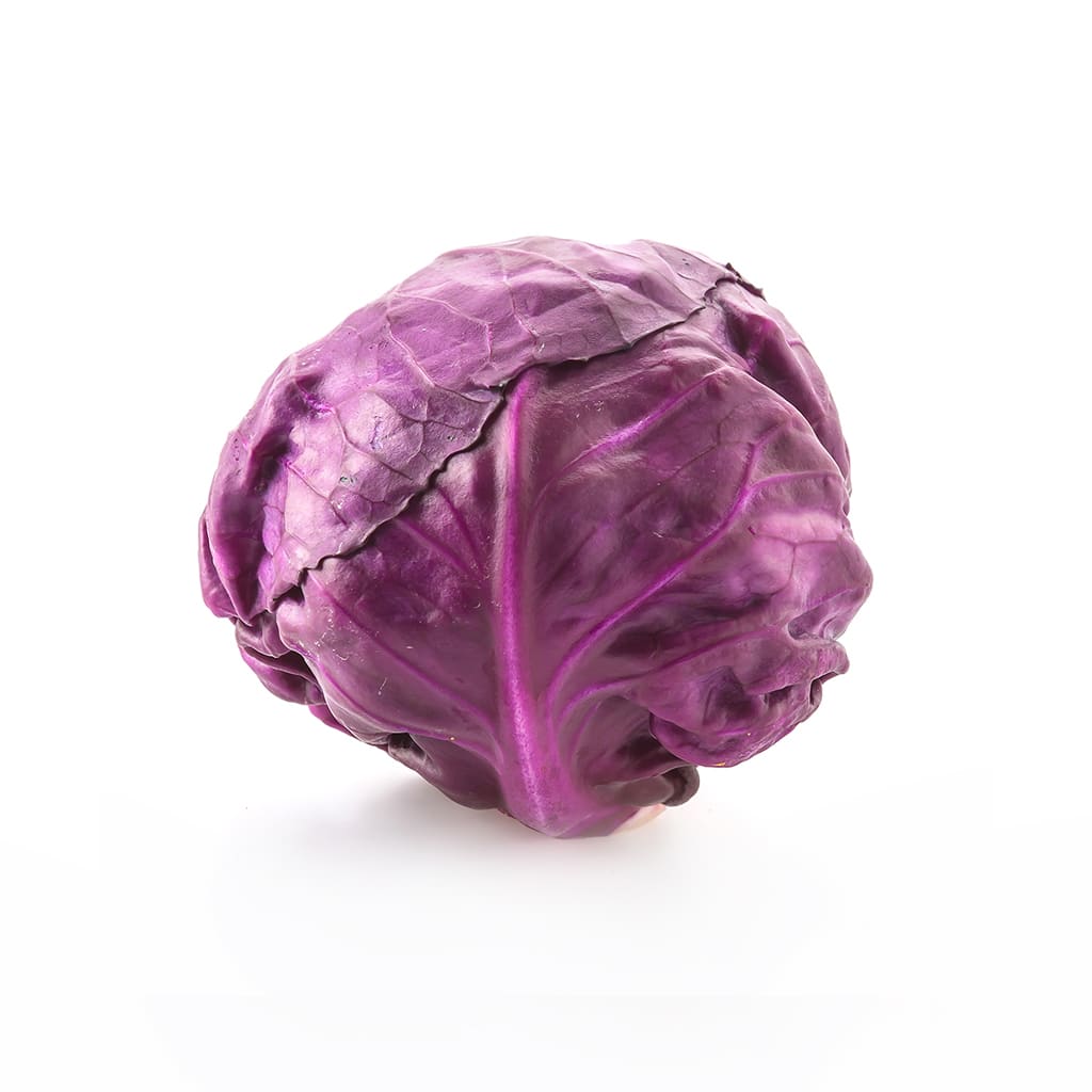 Repollo Morado | greengreen