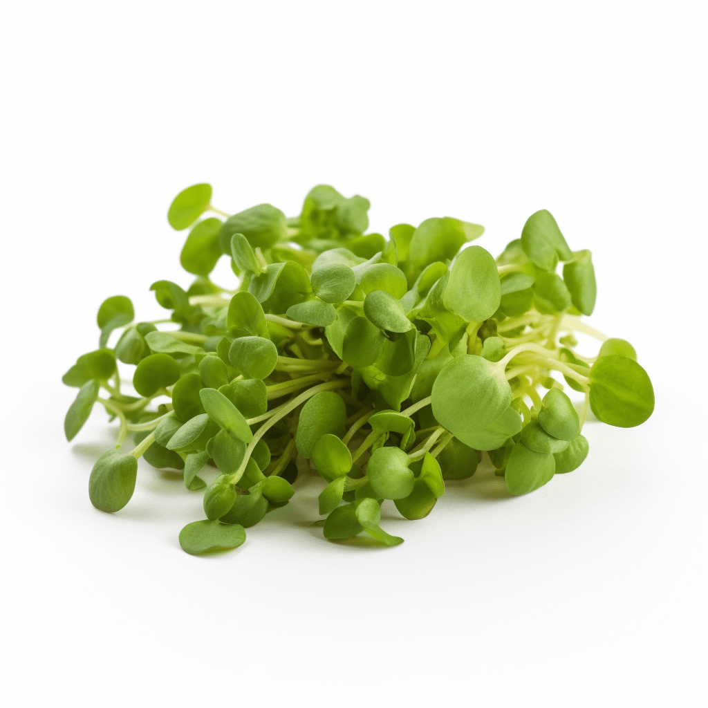 Berro | greengreen | Mercado Saludable Frutas y Verduras a Domicilio