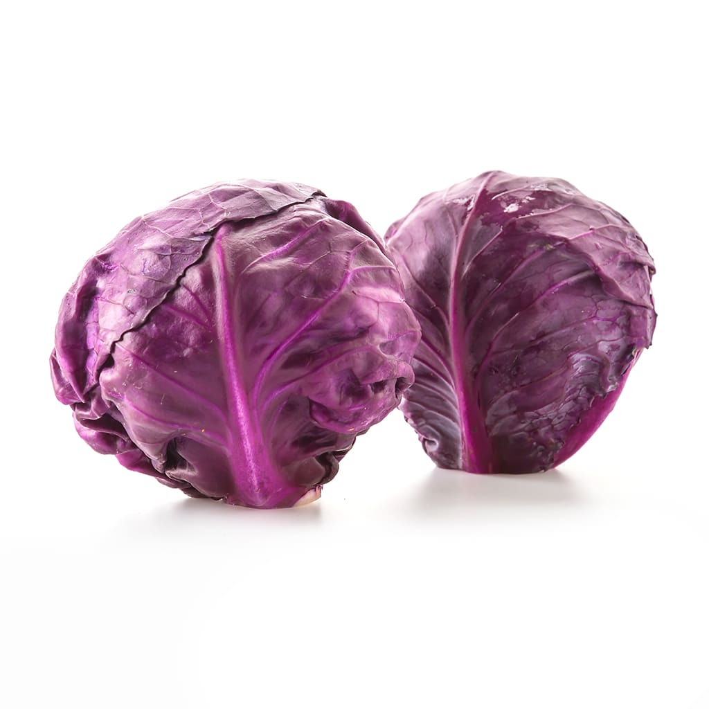 Repollo Morado | greengreen