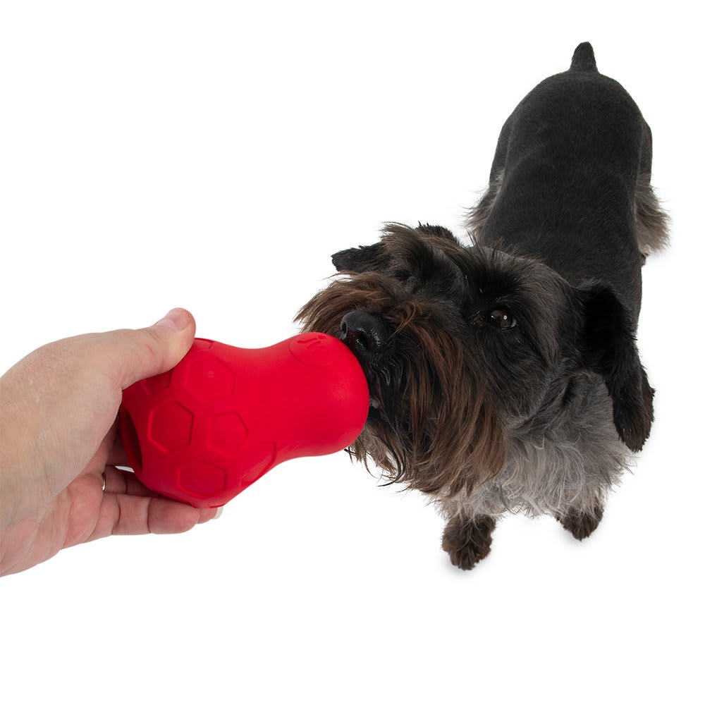 JW TUMBLE TEEZ TREAT TOY MEDIUM RED | Doka Pet Store