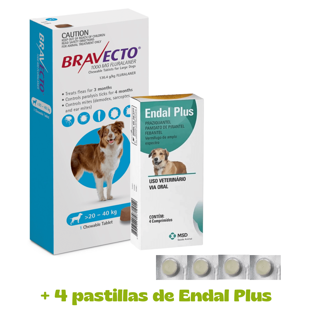 Bravecto (20 - 40 ) Kg + 4 pastillas Endal | Brisa Pet Shop