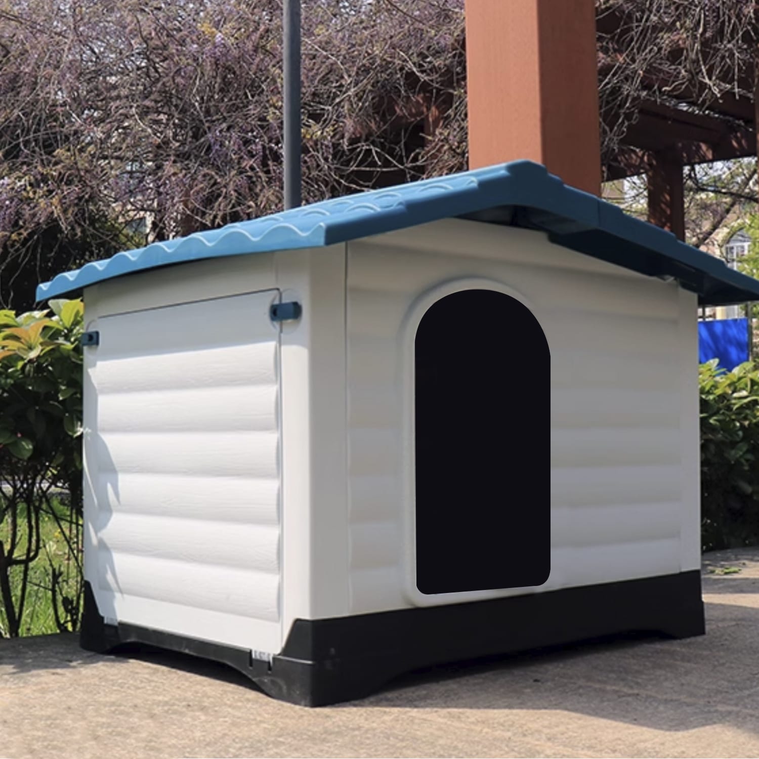 SOLO X DIA 4 CASA BLACK | PetWoow.cl - Productos para tu mascota