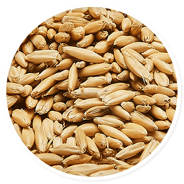 Alimentación animal Granos | AGROCOMERCIAL LA DAMASCA