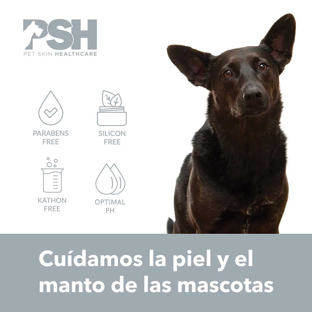 DRY SHAMPOO | La Casa del Peluquero Canino