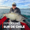 Patagonia Explorer Tienda Online
