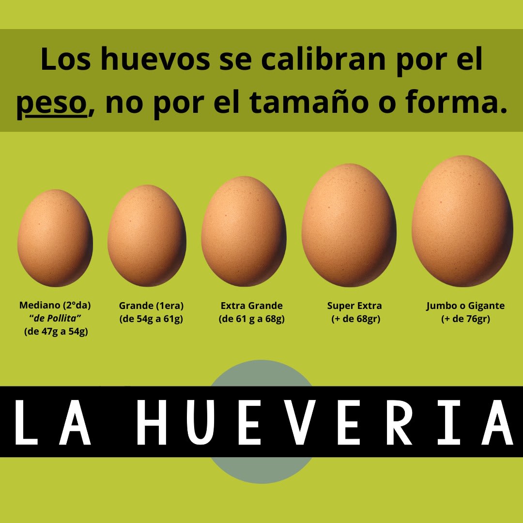 Cómo se clasifican los calibres de huevos? | LA HUEVERIA