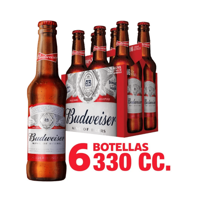 Pack 6 un. Cerveza Budweiser 5.0° 330 cc | turinturanmarket.cl