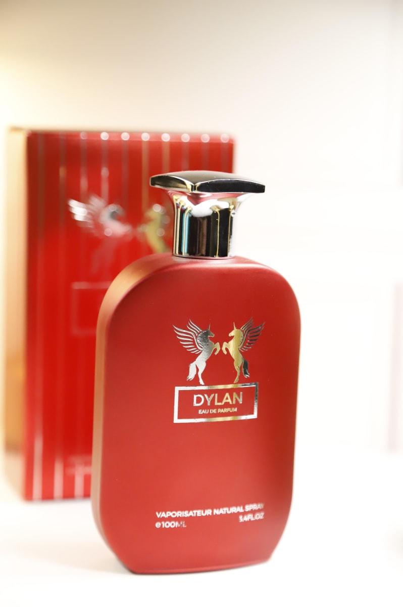 DYLAN M 3.4oz/100ml EDP | Kiibok
