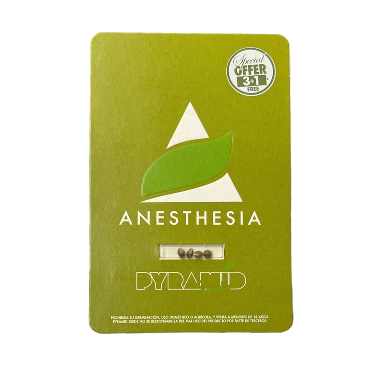 ANESTHESIA FEM X3+1 - PYRAMID SEEDS | Maksimum Grow Shop