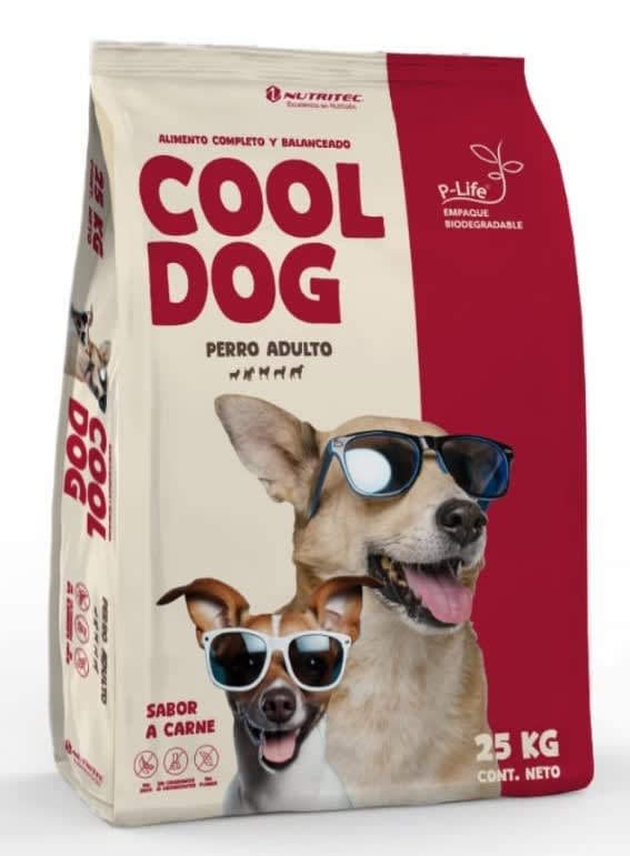 cool dog | El perro loco