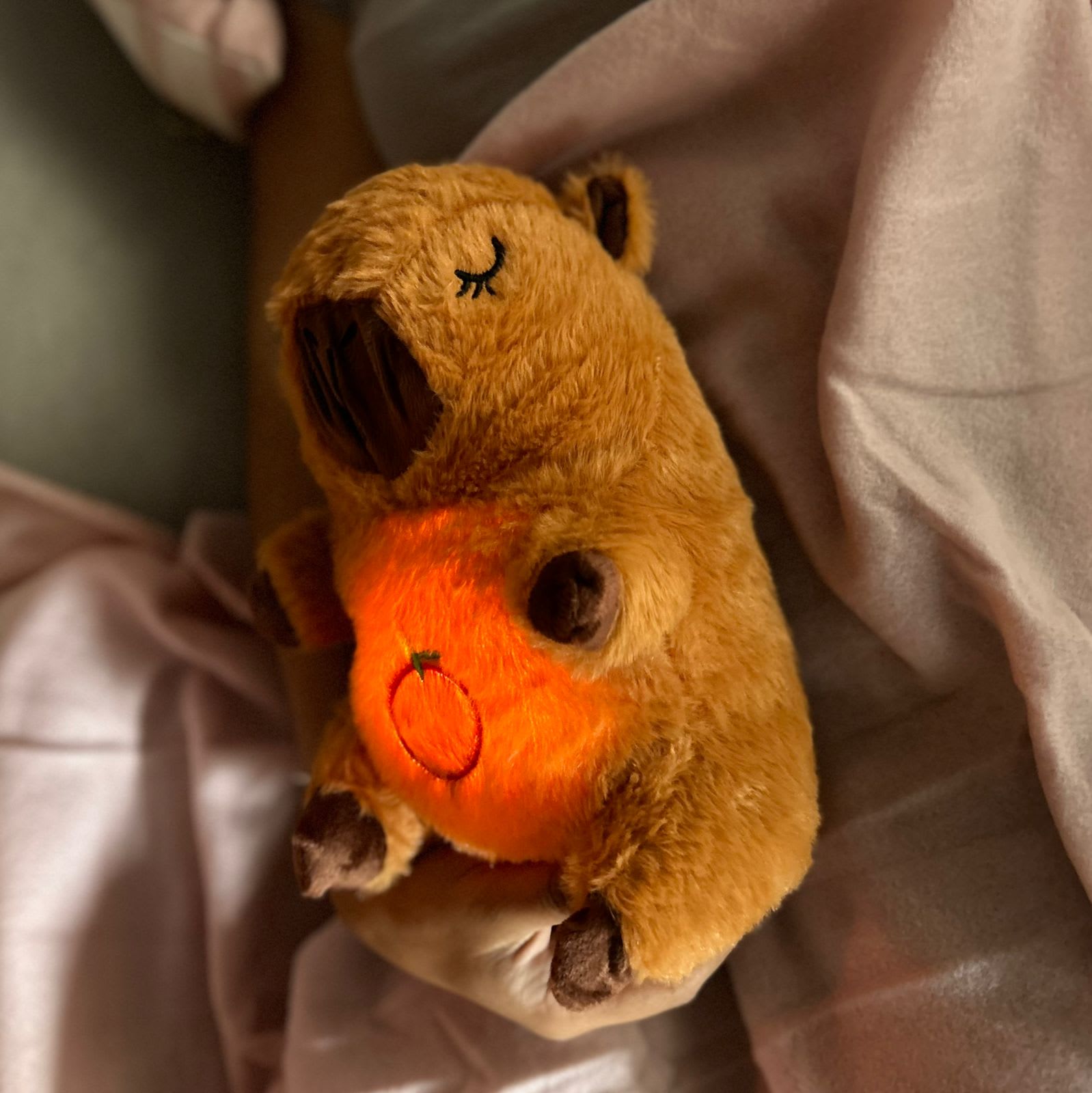 CAPIBARA QUE RESPIRA | Maracuyá Detalles