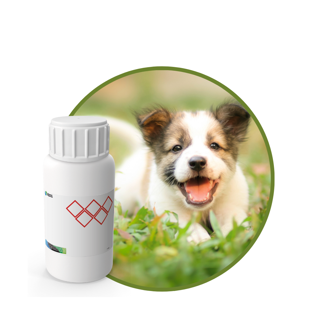 V6520018-FRAGANCIA SPRING PETS | The SyF Store