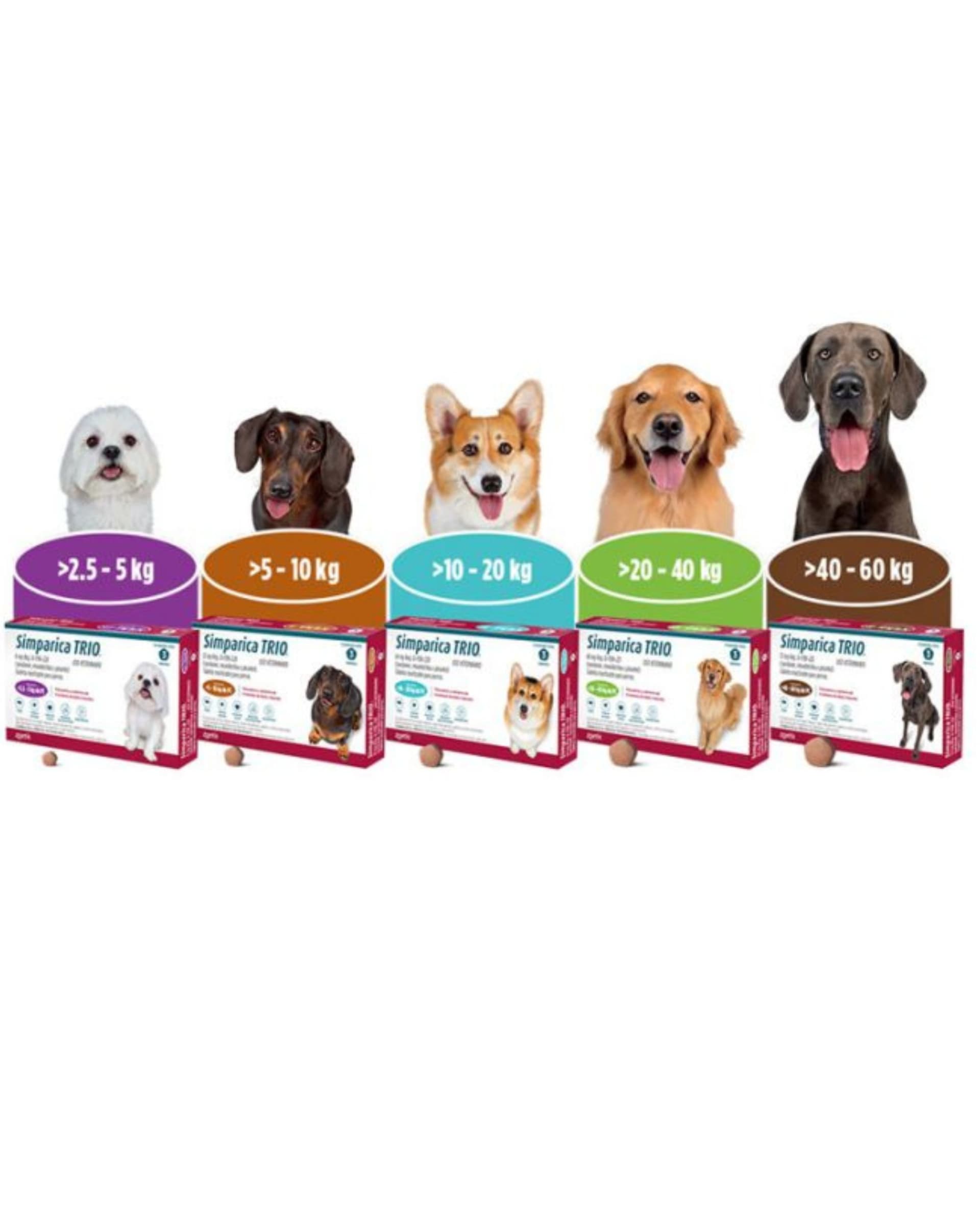 SIMPARICA TRIO PERRO / 3 COMP | Tree Pet Store